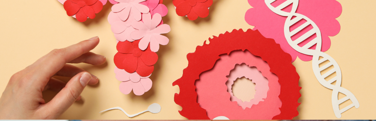 गर्भावस्था के दौरान ब्लीडिंग: क्या ये सामान्य है? – Mahina